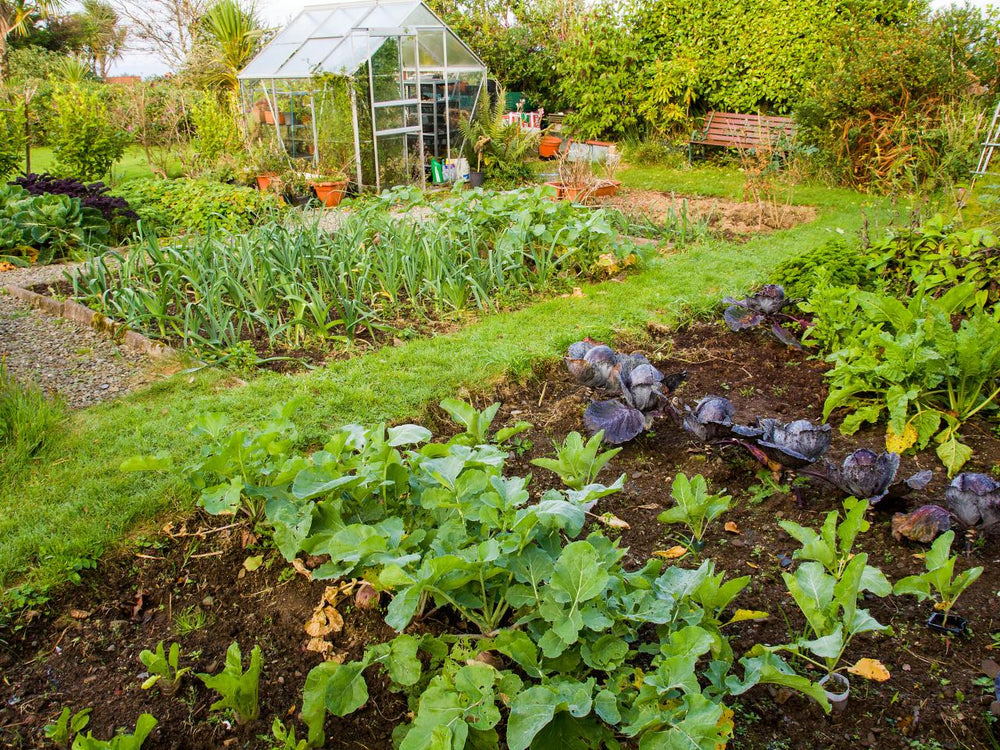 News – Hortica - One Stop Garden Shop