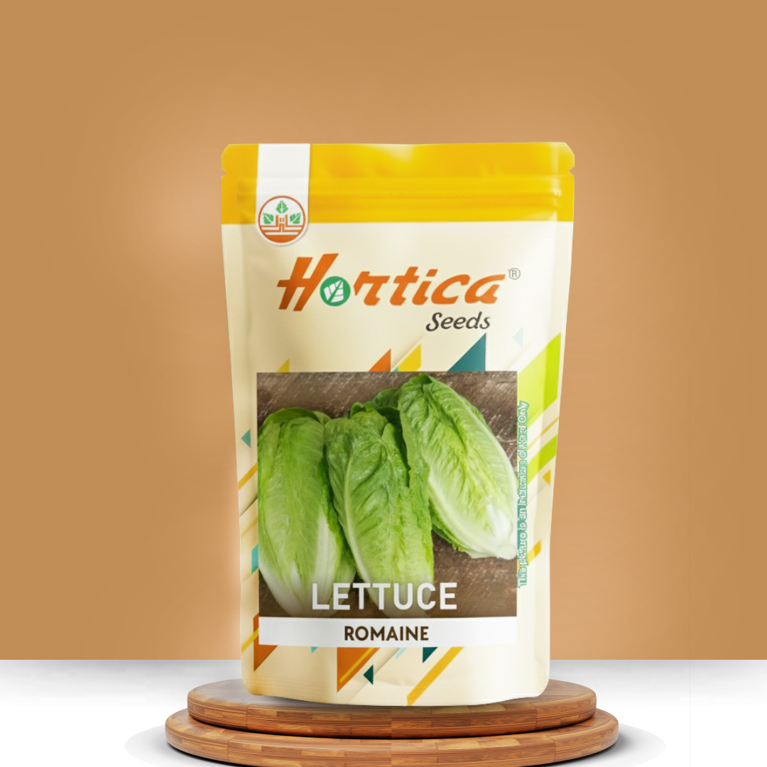 lettuce romaine – Hortica - One Stop Garden Shop