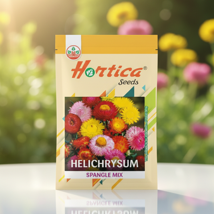 Helichrysum Spangle Mix – Hortica - One Stop Garden Shop