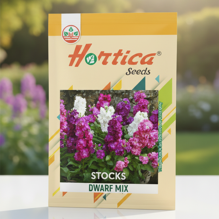 Stocks Dwarf Mix – Hortica - One Stop Garden Shop
