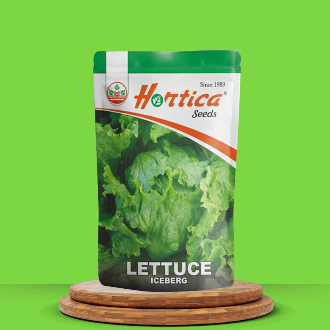 lettuce iceberg – Hortica - One Stop Garden Shop