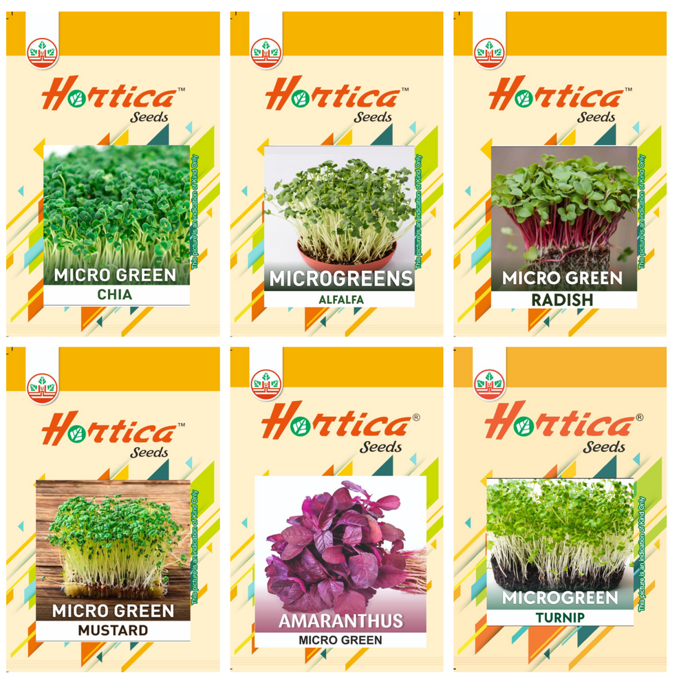 Microgreen Seeds Pack of 6 (Alfalfa, Turnip, Chia, Mustard, Radish, Am ...