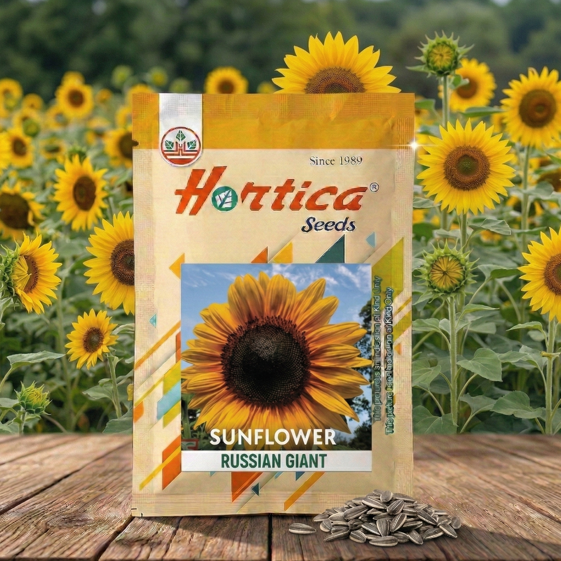 Sunflower Russian Giant – Hortica - One Stop Garden Shop
