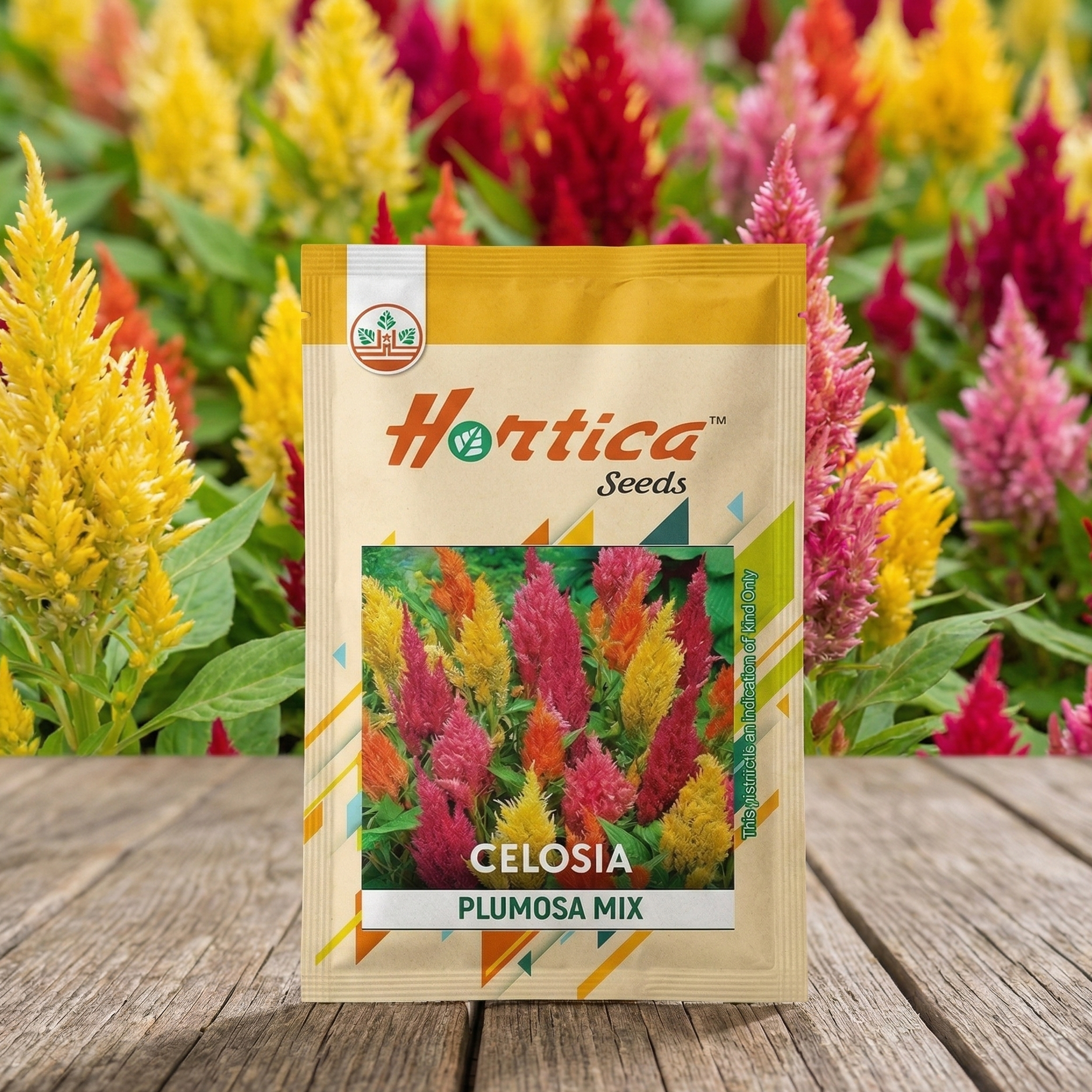 Celosia Plumosa Mix – Hortica - One Stop Garden Shop