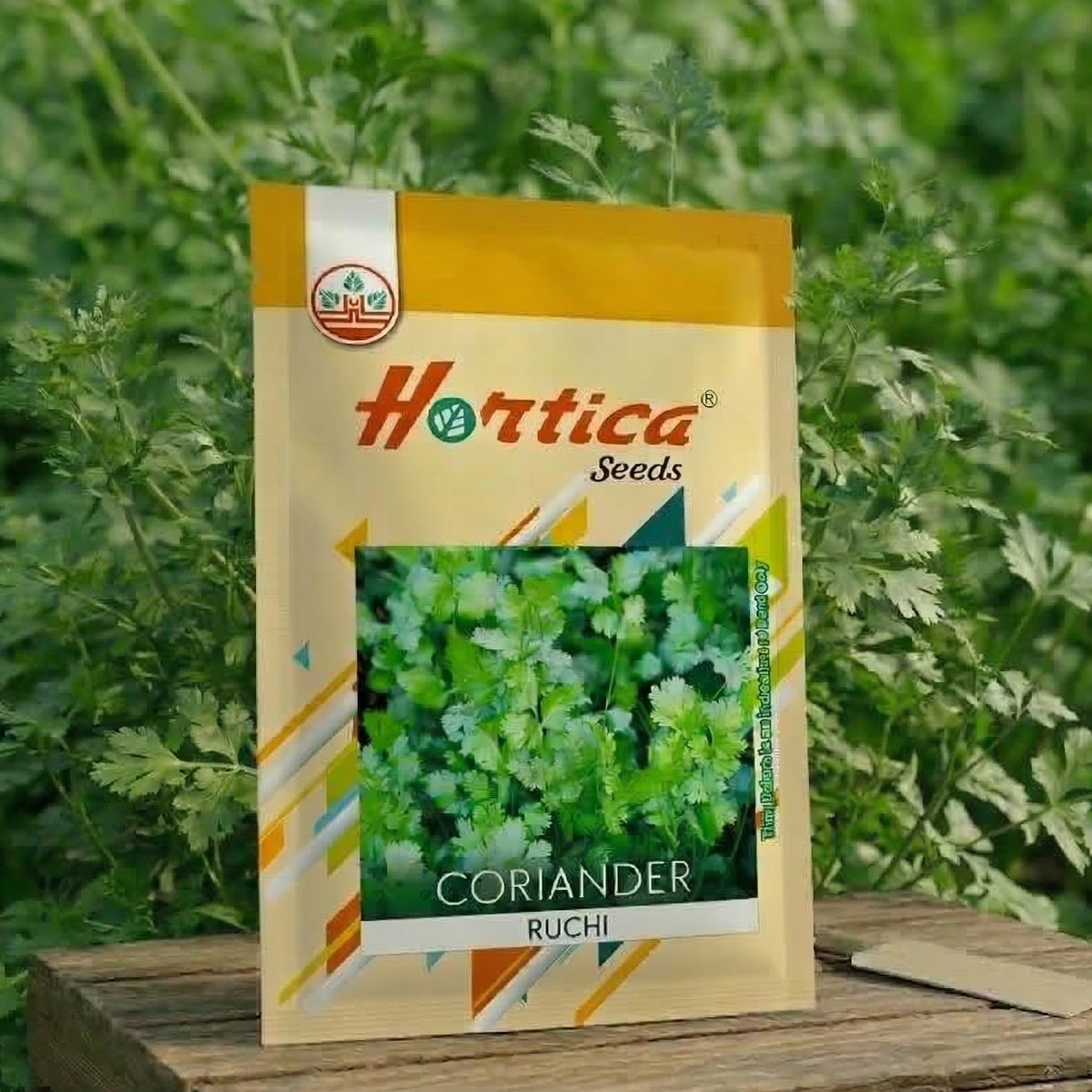 Coriander – Hortica - One Stop Garden Shop