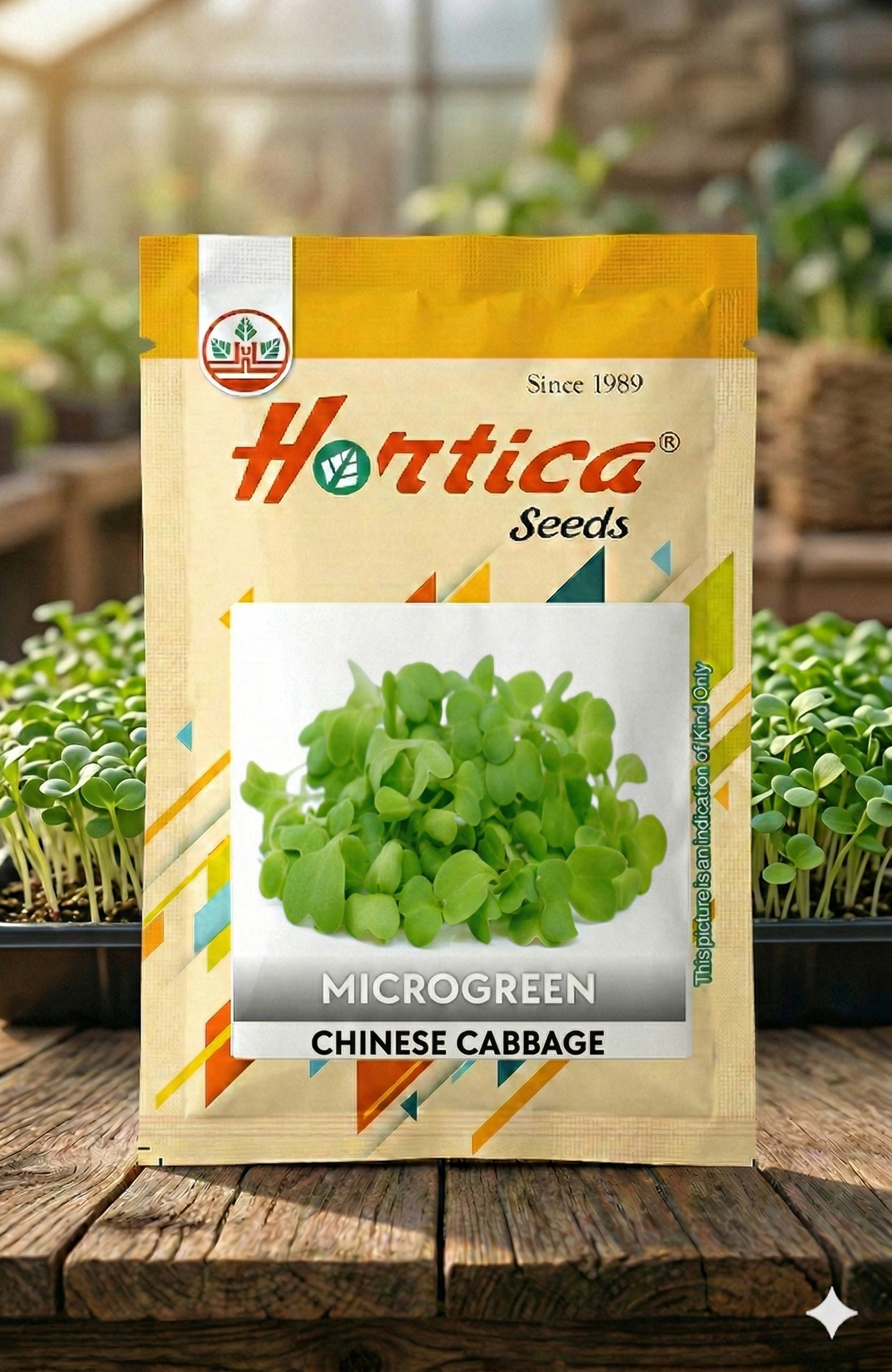 Microgreen Chinese Cabbage – Hortica - One Stop Garden Shop