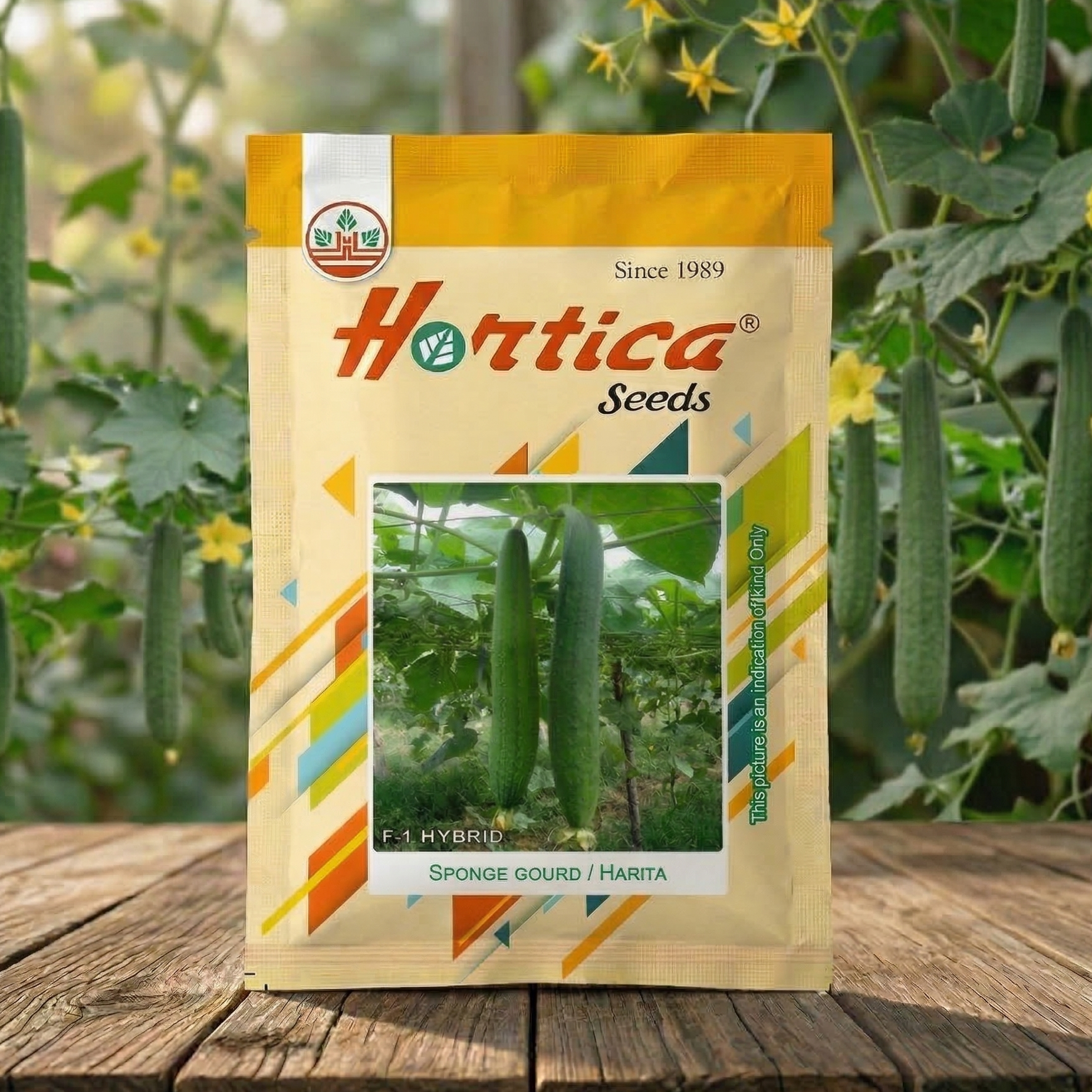 Sponge Gourd – Hortica - One Stop Garden Shop