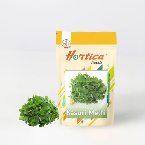 Kasuri Methi – Hortica - One Stop Garden Shop