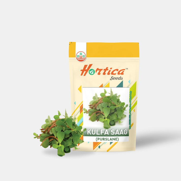 Purslane (Kulfa Saag) – Hortica - One Stop Garden Shop