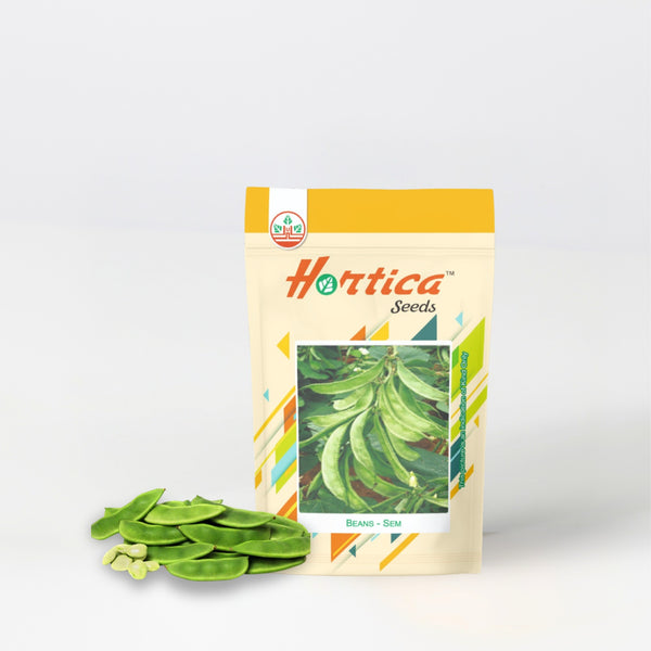 Lima Beans Green (Green Sem / Valar) – Hortica - One Stop Garden Shop