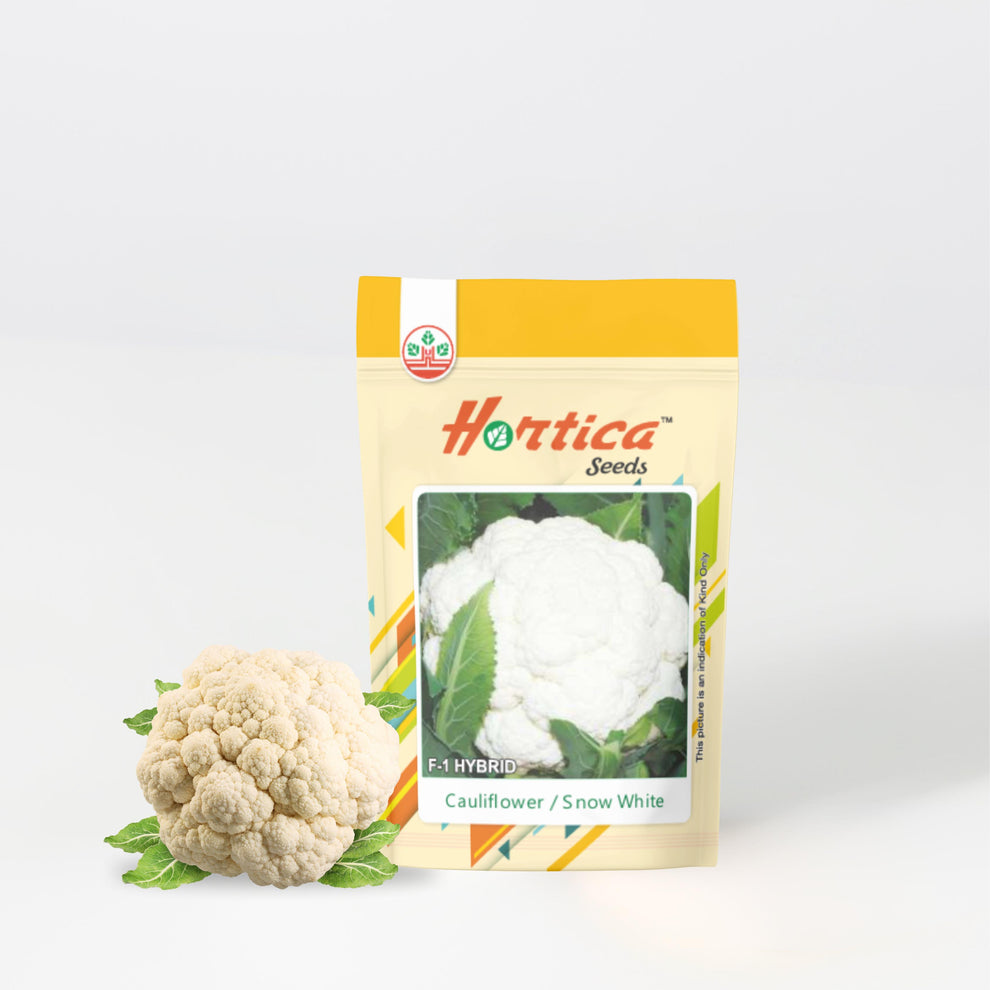 Cauliflower – Hortica - One Stop Garden Shop