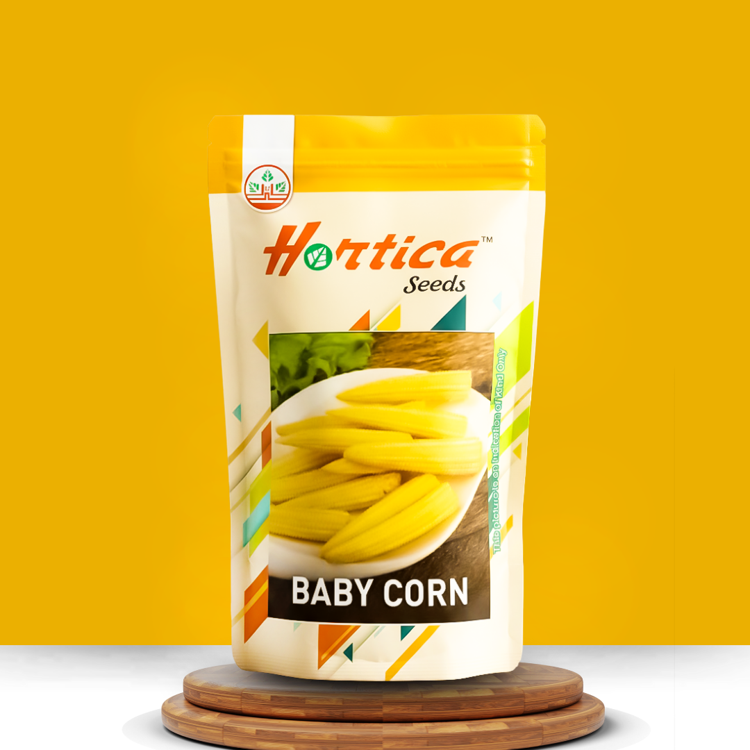 Baby Corn – Hortica - One Stop Garden Shop